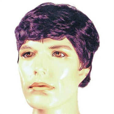 Star Trek Mens Spock Wig W/ Ears Halloween Costume Accessory - Walmart.com