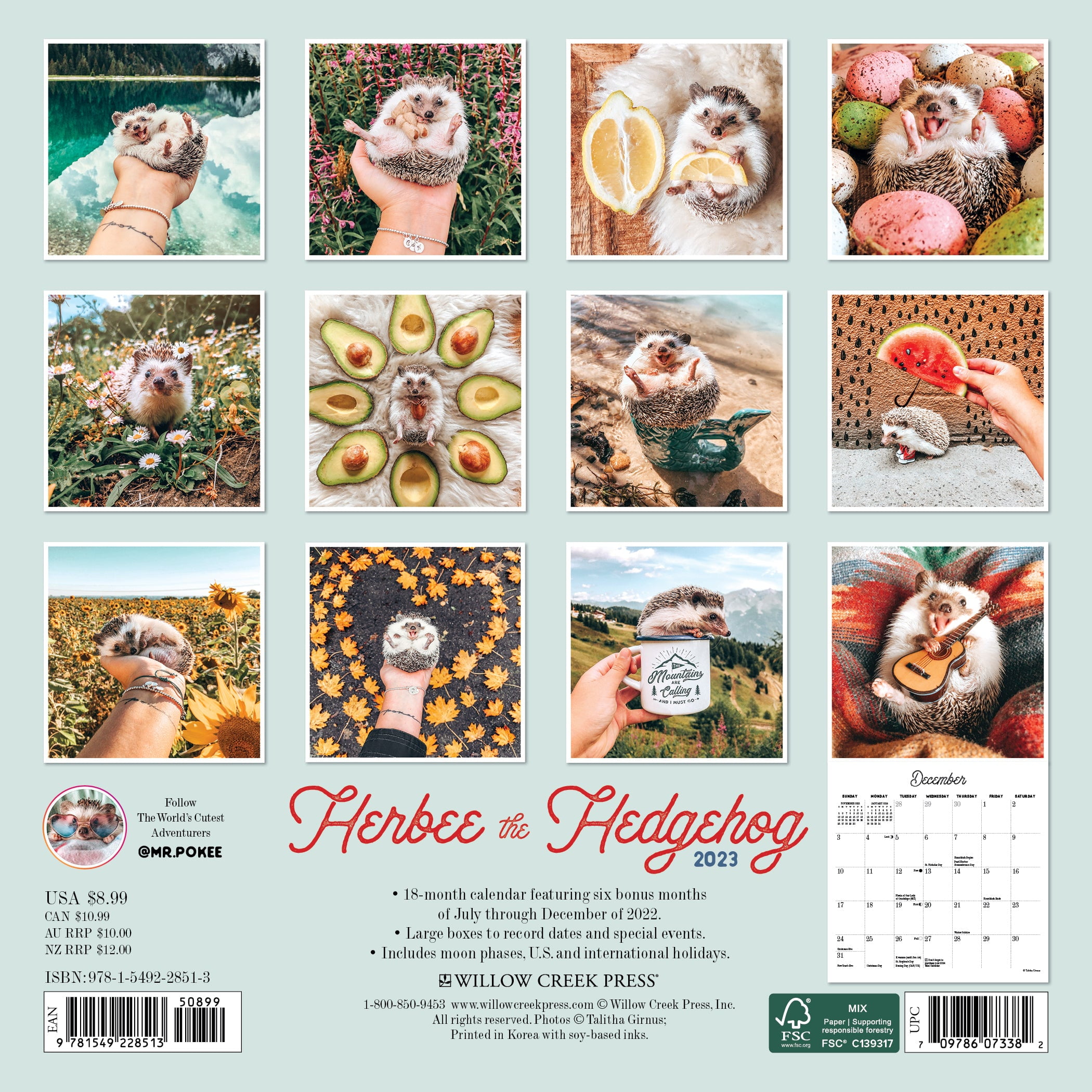 Herbee the Hedgehog 2023 Mini Wall Calendar – Totalhill.com – Toys and Game Store