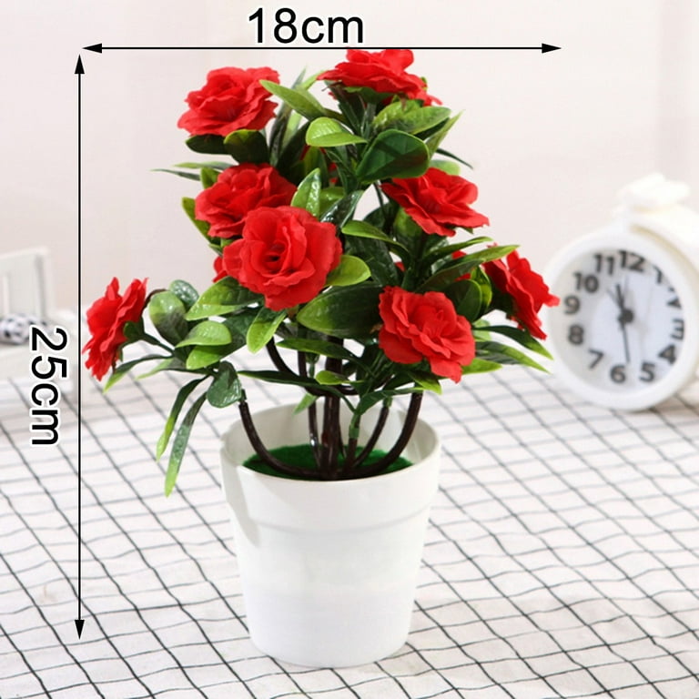 Rose Flower Plants In Pot