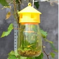 HAFNFUE Fruit Fruit Fruit Fruit Fruit Fly Needle Fruit Fly Attractant ... HAFNFUE Fruit Fruit Fruit Fruit Fruit Fly Needle Fruit Fly Attractant ...