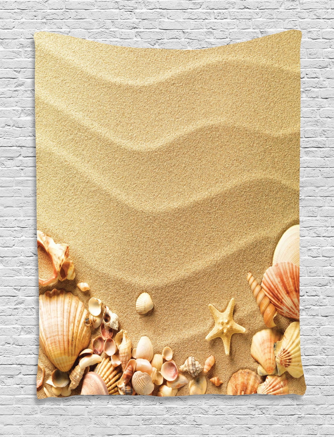 Shell Tapestry, Various Seashells on Beautiful Sand Coastal Theme ...