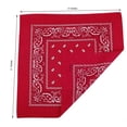 Fanni Youpin Paisley Cowboy Bandanas 27x27 in 6pk with Assorted Colors ...