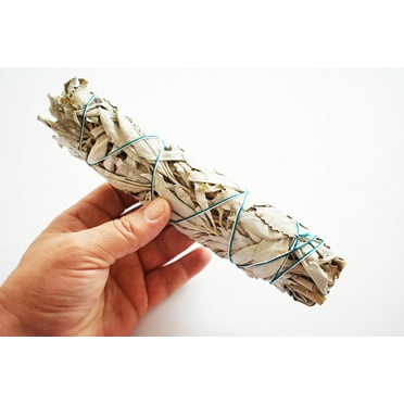 Govinda Pack of 5 Mini White Sage Smudge Stick, 4 Inch Long - Walmart.com