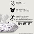 Member's Mark Premium Baby Wipes, Fragrance Free, 12 pk., 1152 Wipes ...
