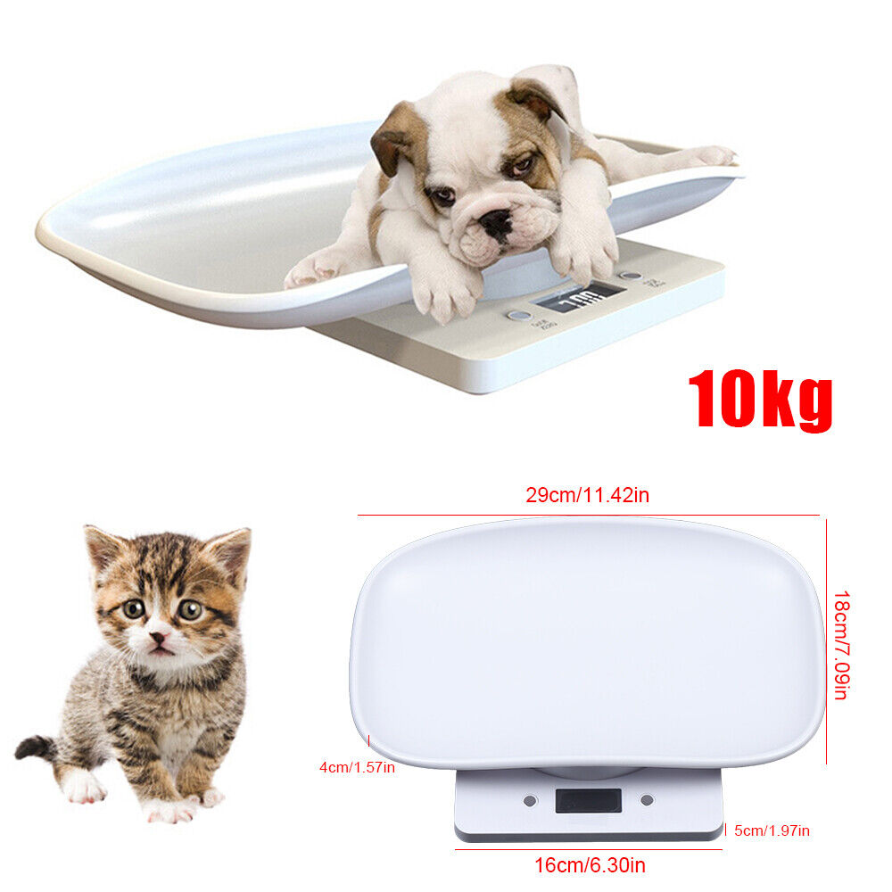 22lbs Weight Scale Digital LCD Electronic Body Pet Puppies Kittens ...