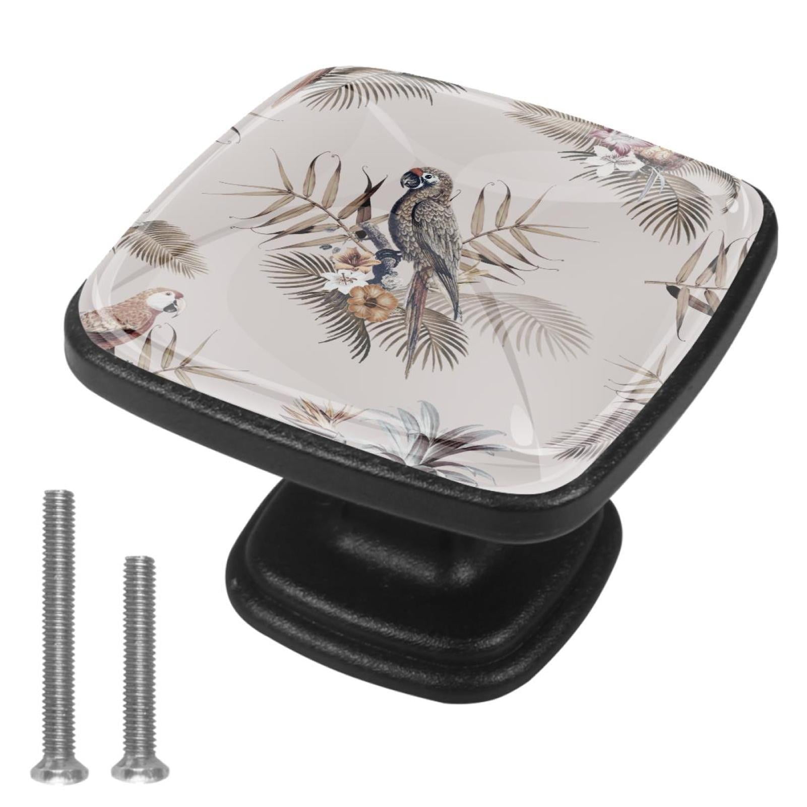 4 Pcs Cabinet Handle Drawer Pulls Parrot Knobs with Screws Square ...