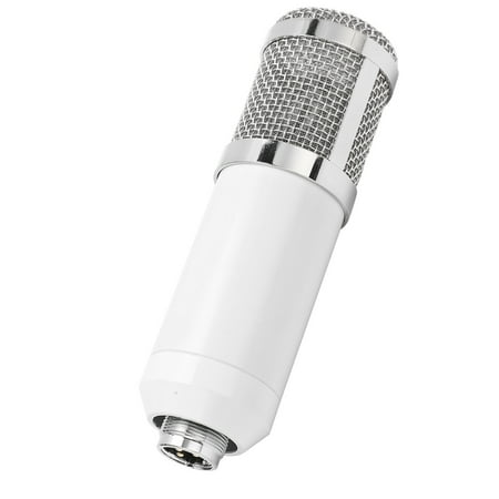 Professional Microphone, Metal Mini Microphones Replacement With Shock ...