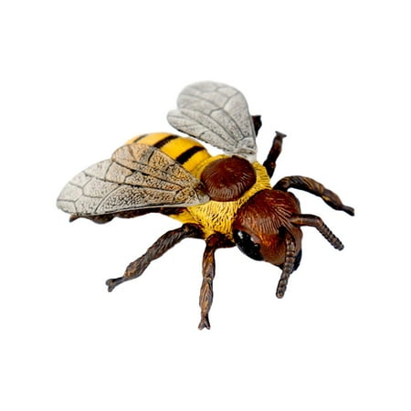 Simulated Insect Model Realistic Insect Model Plastic Insect Model ...