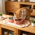 2 In 1 Pet Food Water Bowl for Dogs Cats Non Slide Double Bowls ...