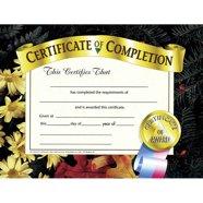 Hayes Achievement Certificate, 8.5" x 11", Pack of 30 - Walmart.com
