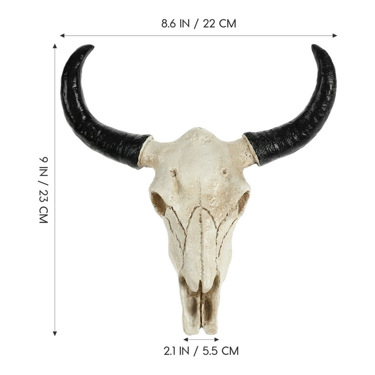 Bull Skull Designs