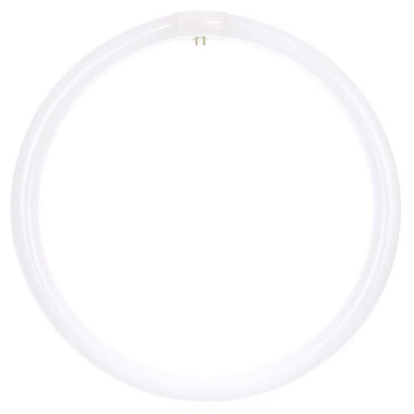 T6 Circline Bulbs