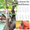 Grafting Sleeves for Fruit Trees, Plant Grafting Sleeve, Extendable ...