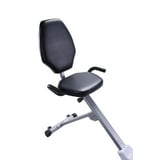 Stamina Indoor Gym, Seated Upper Body Exercise Bike, 8" Stride, LCD ...