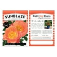 Amber Sunblaze¬Æ Miniature Rose Bush - Live Plant - Fragrant Flowers - 1 Year Bare Root ...