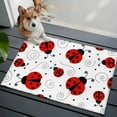 Bathroom Rugs 2x3 Ft, Ladybug Non Slip Area Rugs for Kitchen Bedroom ...