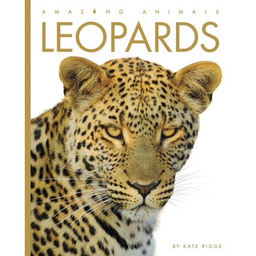 Amazing Animals: Armadillos (Paperback) - Walmart.com