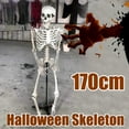 Life Size Posable Skeleton 70/90/170cm - Outdoor Halloween Decoration ...