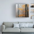 Free Shipping! Trademark Fine Art Martin Rak Autumn Forest Canvas Art ...