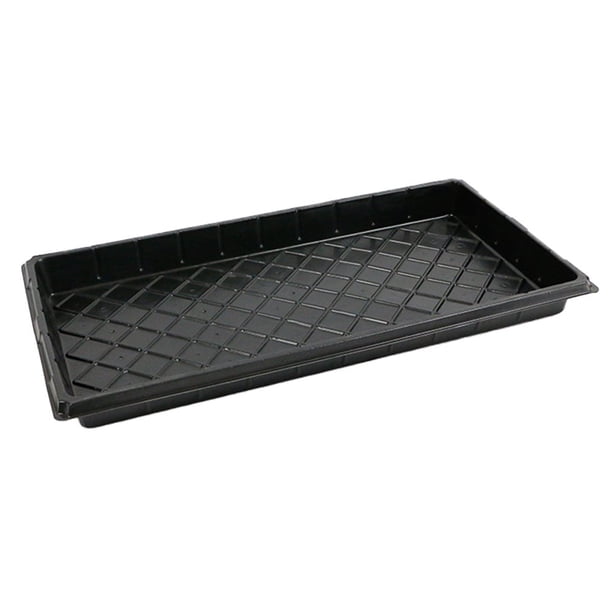 Seedling Vegetable Succulent Sprouts Flat Plate Non-porous Forest ...