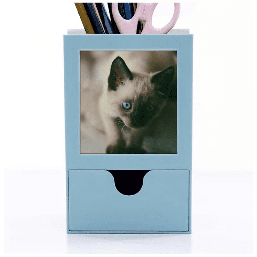 Animal Blue Eye Kitten Gray Photograph Desk Supplies Organizer Pen ...