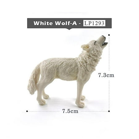 Komodo Dragon Wolf Dog Cat Sloth Rabbit Lizard Parrot Cormorant Fox/10 ...