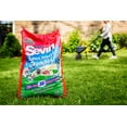 Sevin Lawn Insect Granules - Walmart.com