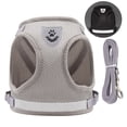 Escape Proof Small Dog Harness with Leash Set Breathable Mesh Pet Vest ...