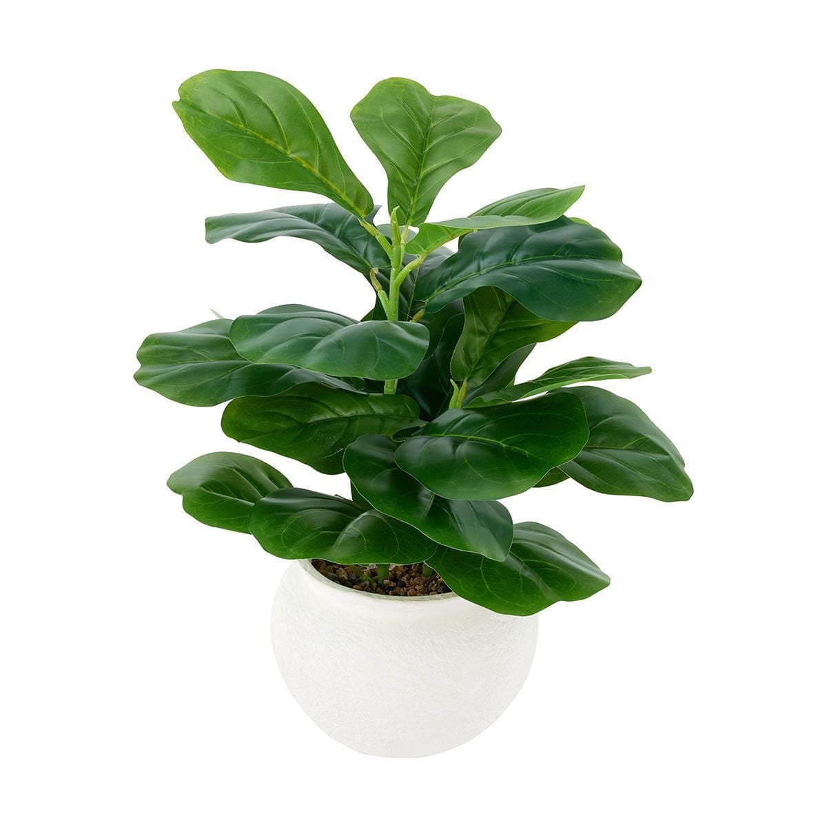 Click here for Anko Artificial Fiddle Plant In Pot prices