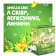 Gain Eco-Box Liquid Fabric Softener, Original Scent, Ultra Concentrated ...