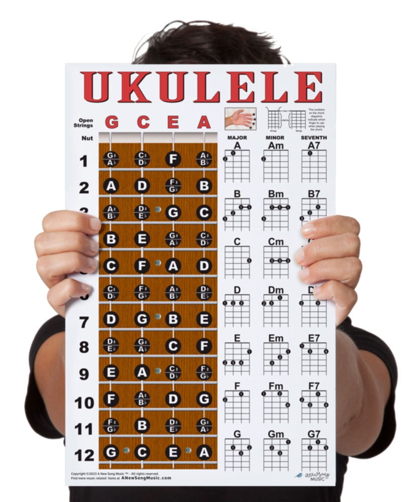 Laminated Ukulele Chord & Fretboard Note Chart - 11"x17" Easy ...