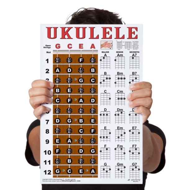 Laminated Ukulele Chord & Fretboard Note Chart - 11"x17" Easy ...