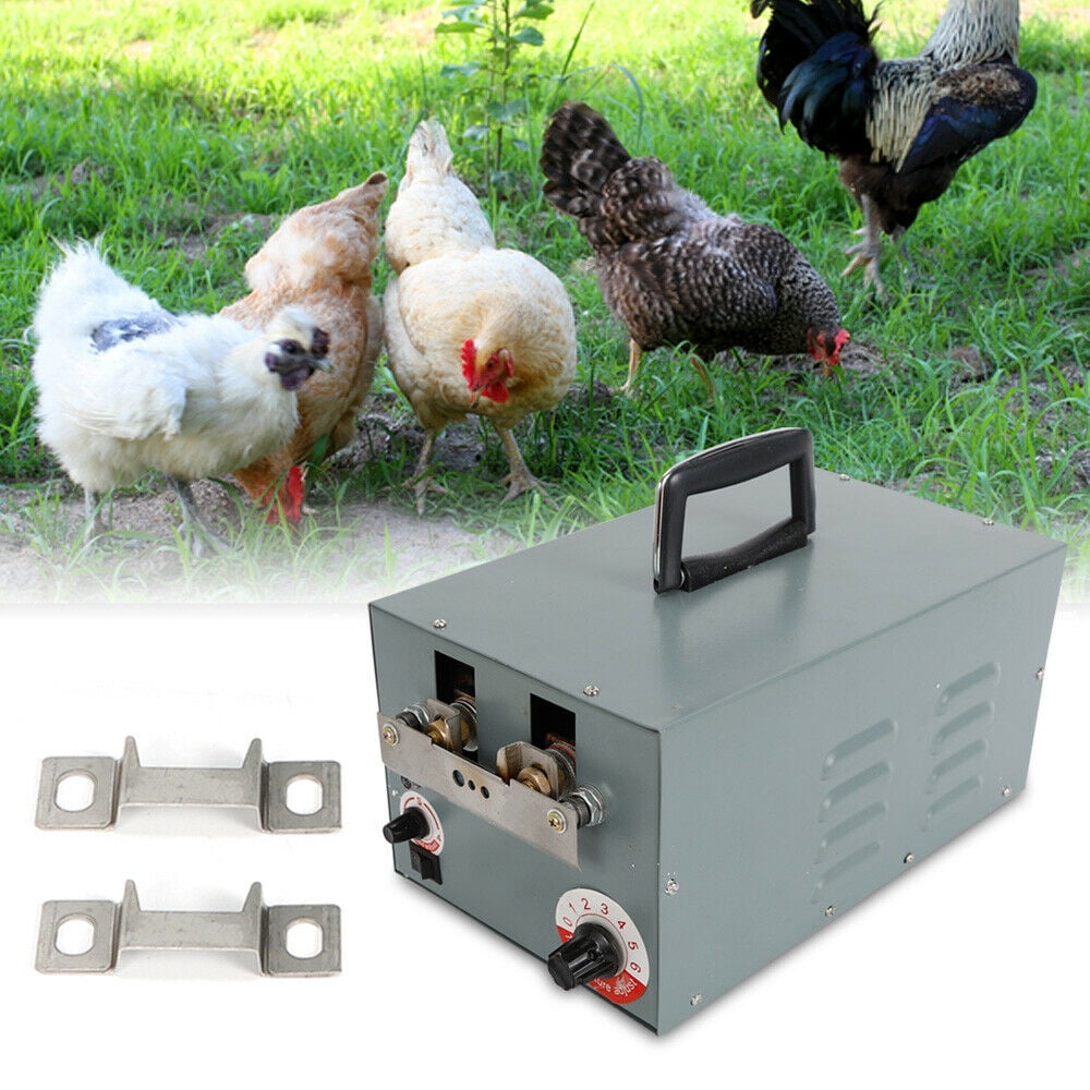 Automatic Electric Bird Beak Cutting Machine Prevent Poultry from ...