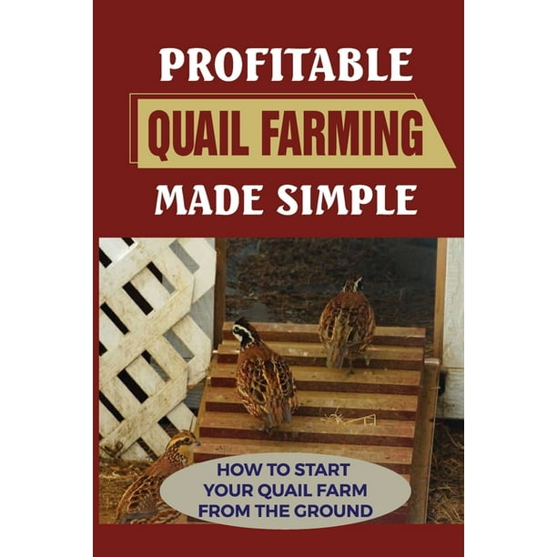 Profitable Quail Farming Made Simple : How To Start Your Quail Farm ...