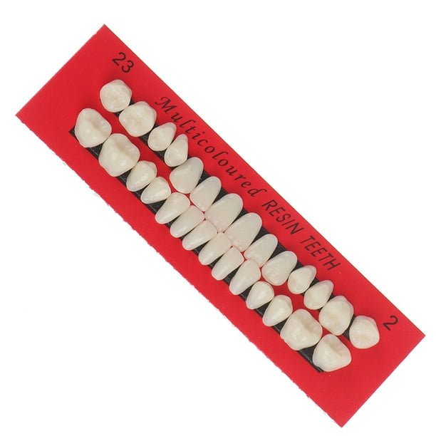 28 unids/set modelo de dientes artificiales dentaduras duraderas ...