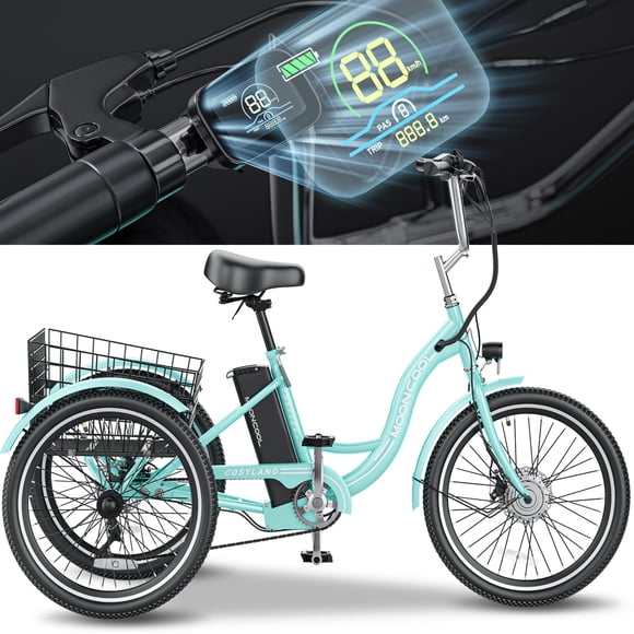 Folding Electric Tricycle Adults