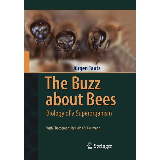 Buzz Bee