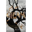 Glint (Paperback) - Walmart.com