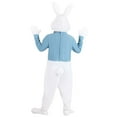 Adult Deluxe Easter Bunny Costume - Walmart.com