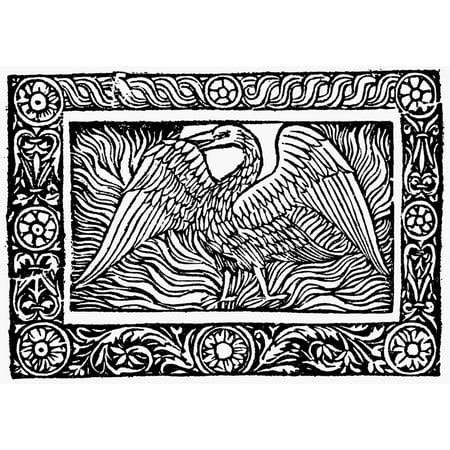Phoenix, 1524. /Nthe Phoenix Rising From The Fire. Woodcut From ...