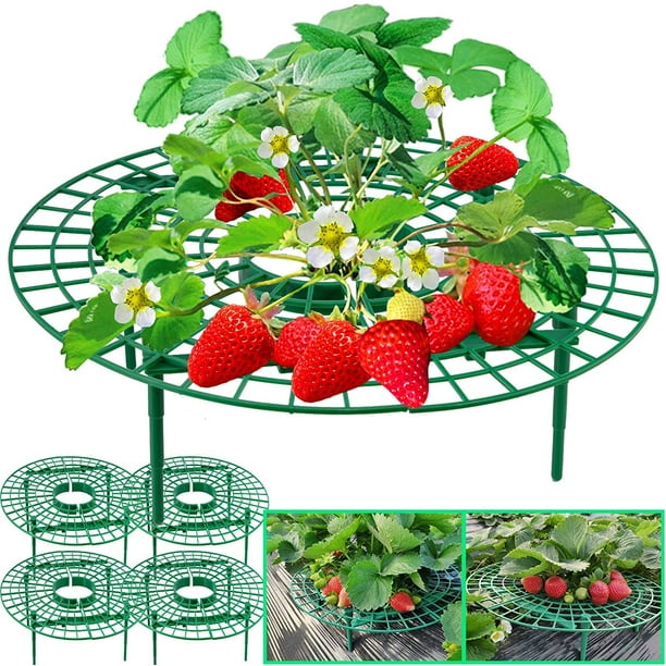 5 Pack Strawberry Supports - Strawberry Plant Support Strawberry ...
