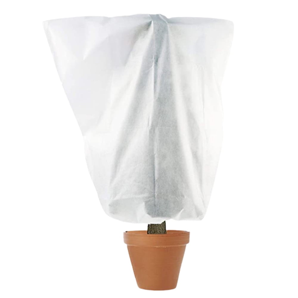 Plant Tree Winter Cover Transparent Ensure Full Sunlight Cover for Rose ...