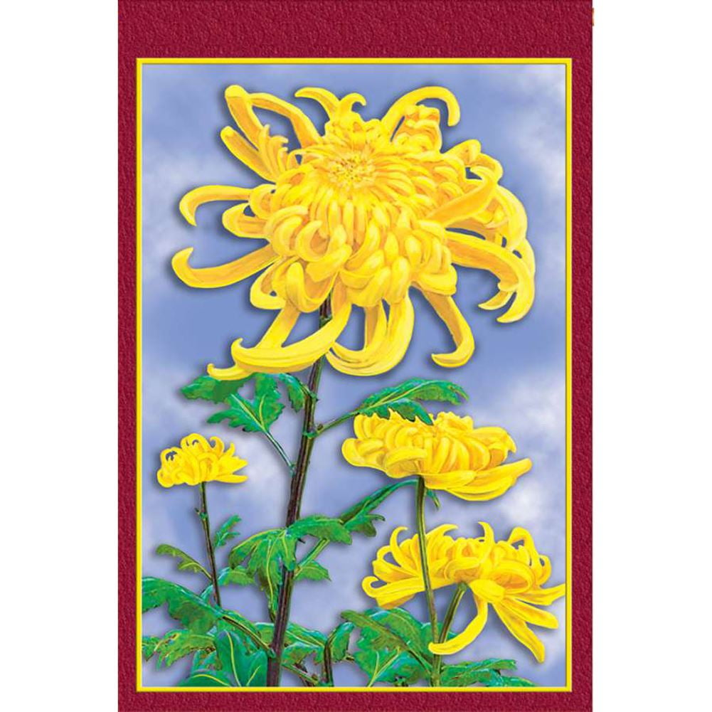 Premier Brilliance House Flag - Autumn Mums - Walmart.com