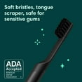 Quip Black Rechargeable Electric Toothbrush with Timed Sonic Vibrations ...