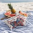 4th of July Outdoor Waterproof Throw Pillow Covers Set of 2 Red Blue ...