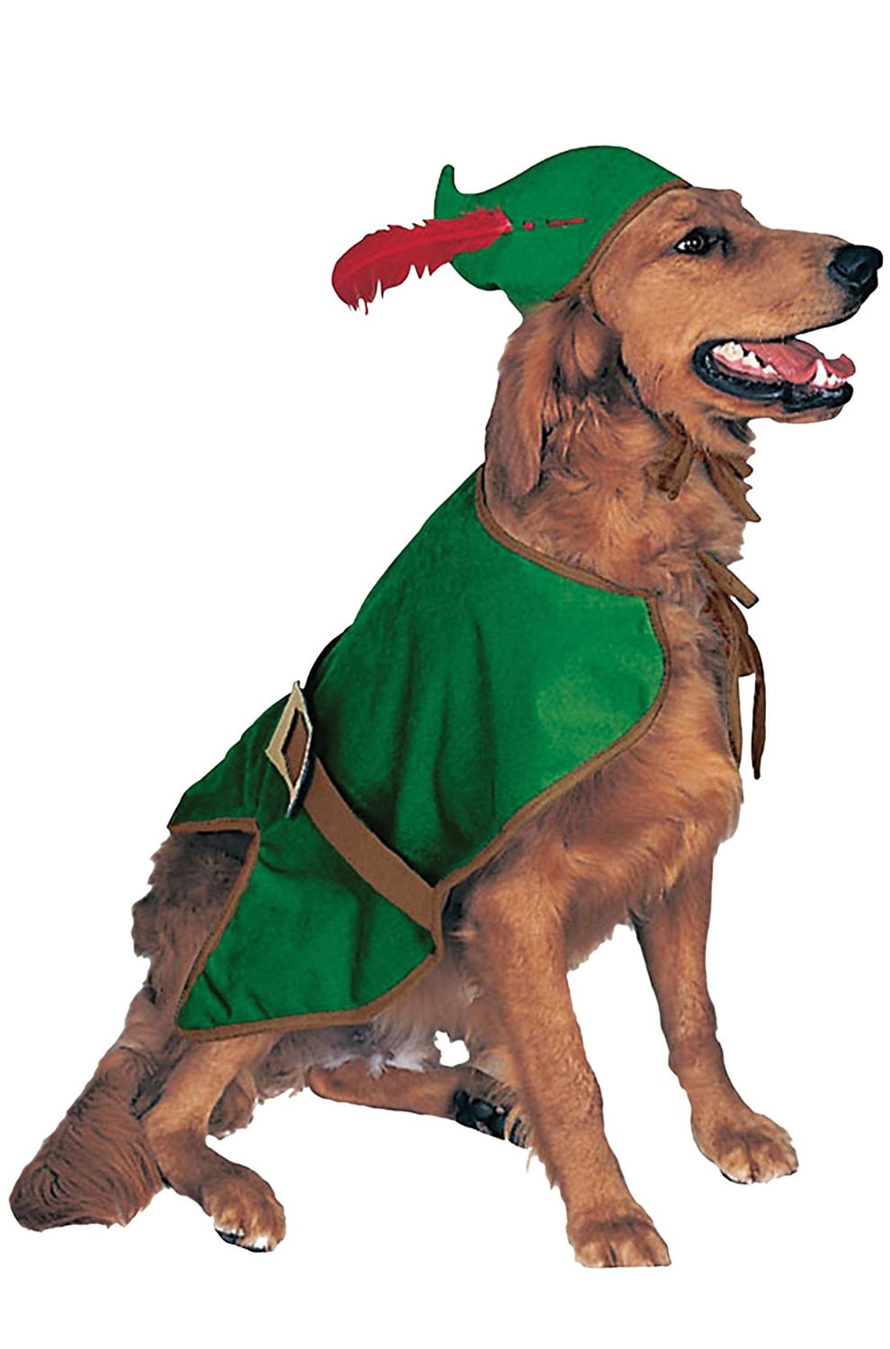 Robin Hood Pet Costume - Walmart.com
