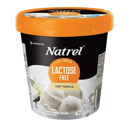 Lactose Free Ice Cream | Walmart Canada