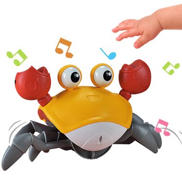 Hohner Kids HMX2007 Kids Turtle Xylophone - Walmart.com