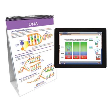 Staples Flip Chart Easel Black Steel 2/Pack 61293-CCVS - Walmart.com