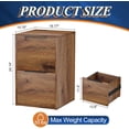LUCYPAL Wood File Cabinet,2 Drawer Filing Cabinets for Home Office ...